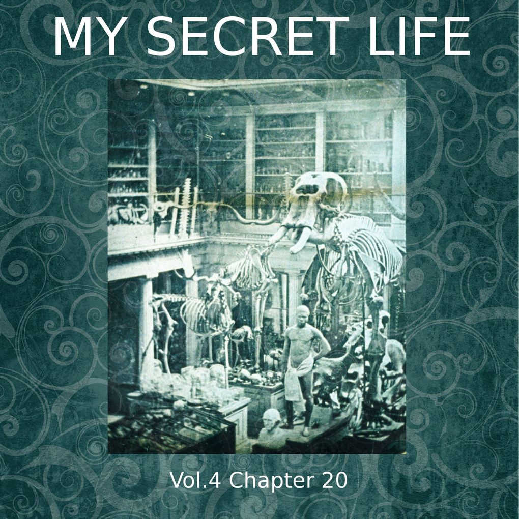 Dominic Crawford Collins: My Secret Life, Vol. 4 Chapter 20 bei ...