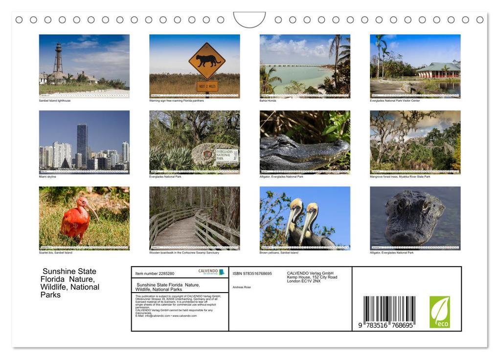 Sunshine State Florida Nature, Wildlife, National Parks (Wall Calendar ...
