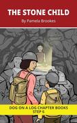 Buch (kartoniert): "The Stone Child Chapter Book"